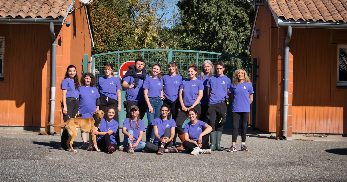 Accueil | ATPA Toulouse | Refuge ATPA - SPA de Toulouse